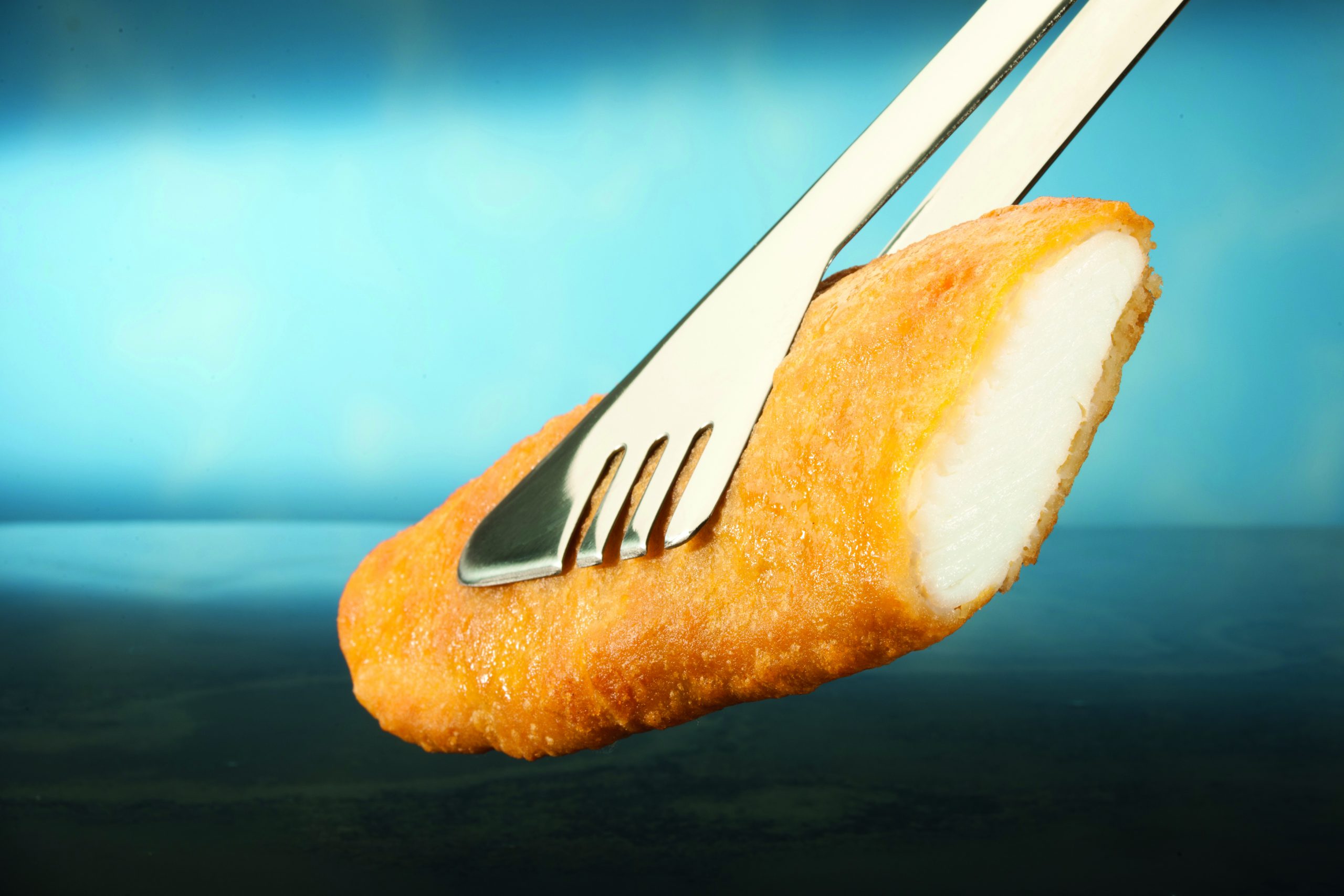 Bilder Fischsortiment: Backfisch - Foodservice DE